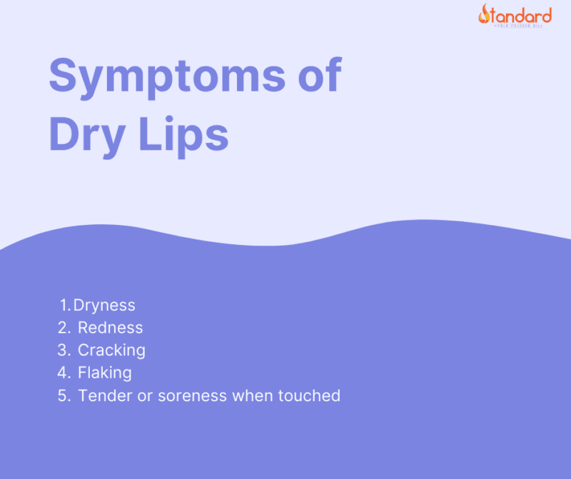 Dry Lips Home Remedies | Standard Cold Pressed Oil