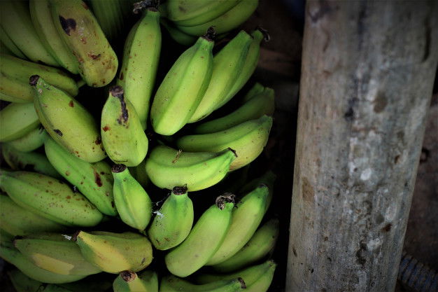 Excellent Bananas To Help You Lose Weight | Standard Cold Pressed Oil