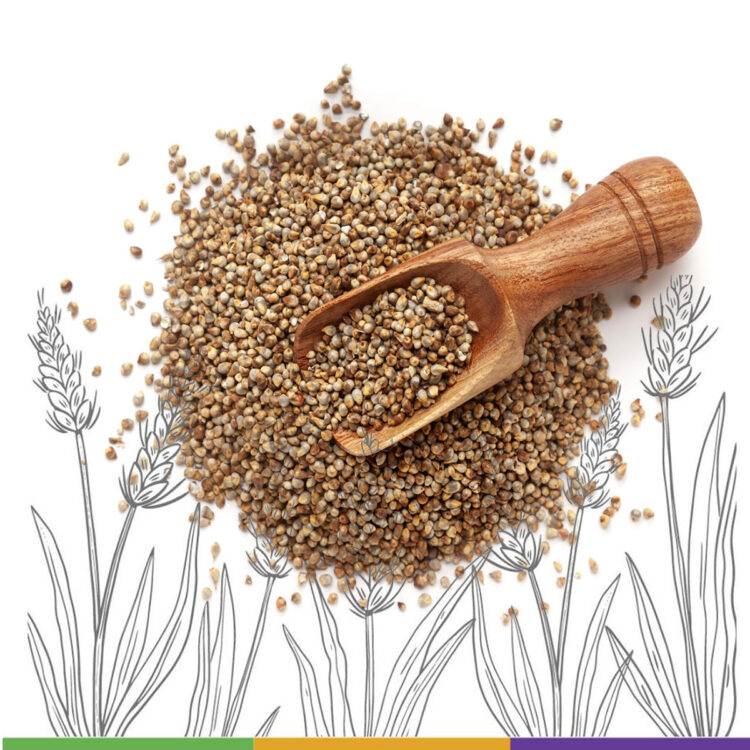 Unpolished Millets Buy Online Unpolished Millets Online Shopping Best ...