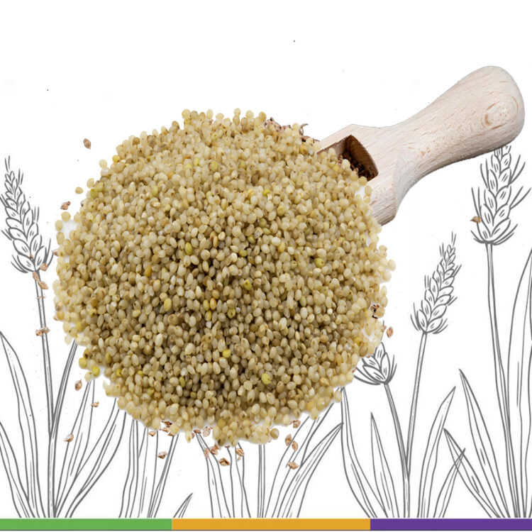 Unpolished Millets Buy Online Unpolished Millets Online Shopping Best ...