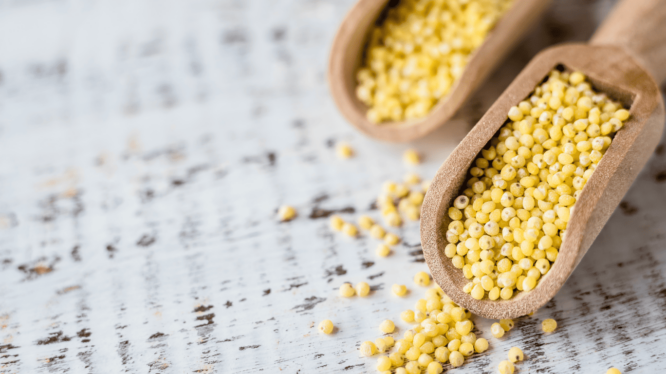 5 Must Know Benefits And Recipes Of Varagu (Kodo Millets) | Standard ...